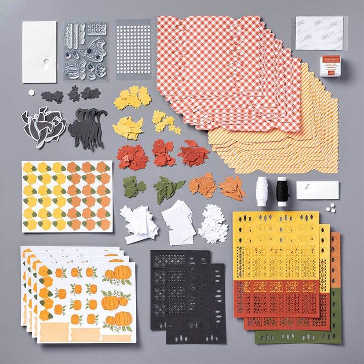 Stampin’ Up! September Paper Pumpkin Kit – Hello Pumpkin – Stampin' in ...
