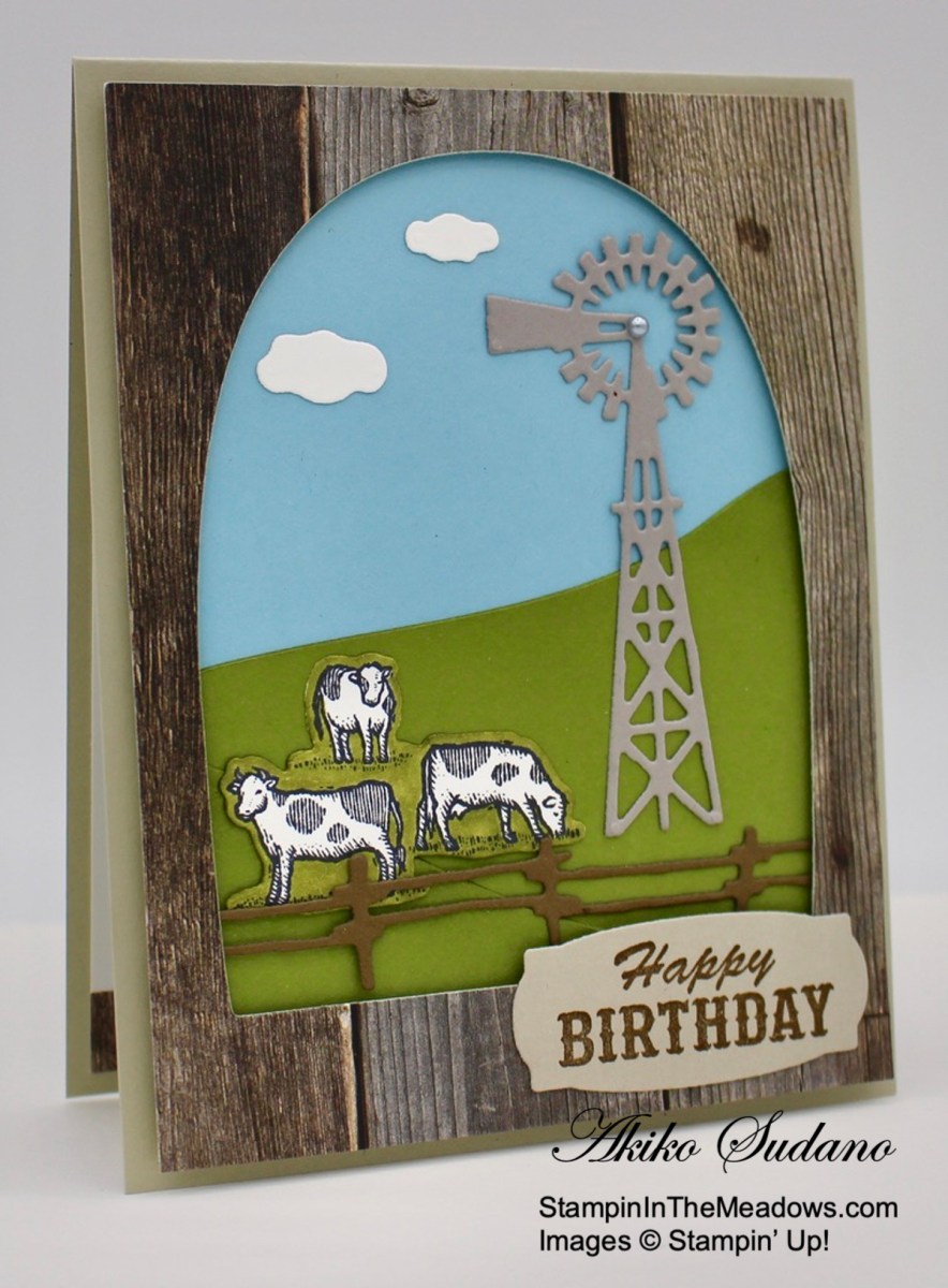 Stampin’ Up! Ride the Range Birthday Card – Stampin' in the Meadows