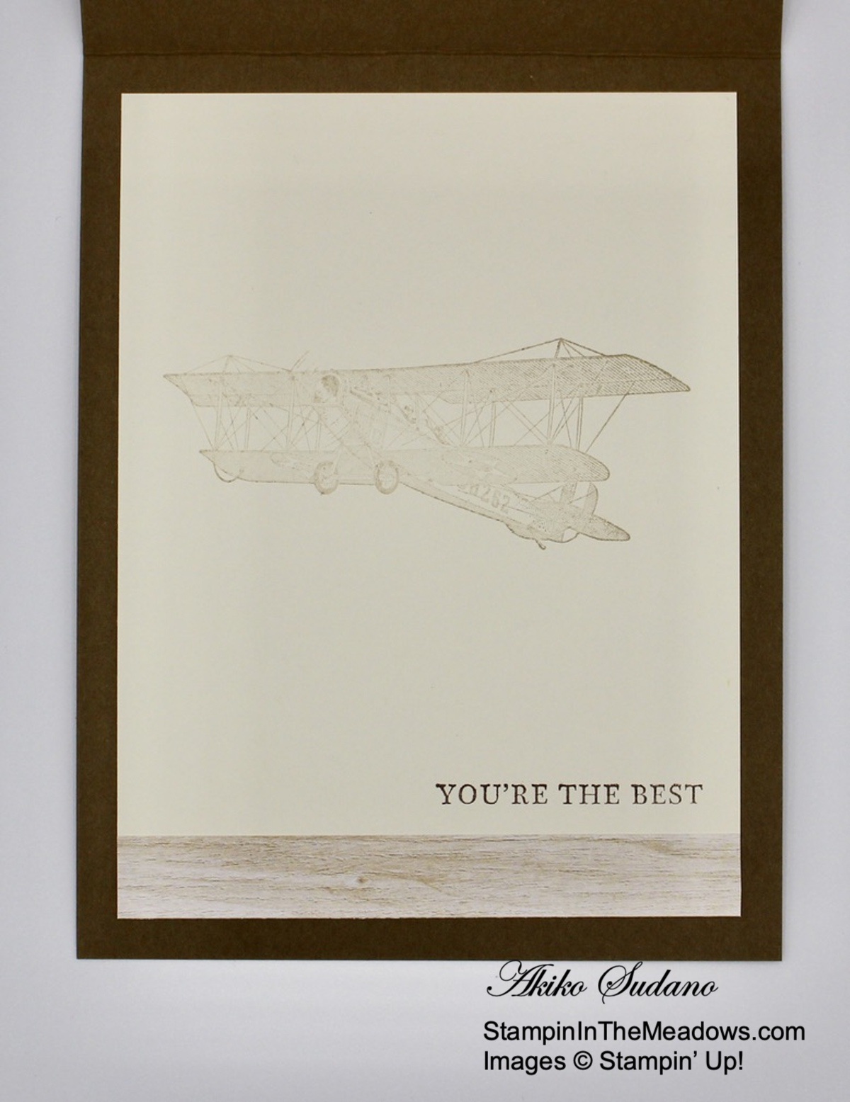 Stampin’ Up! Soar Confidently For the Inkin’ Krew Blog Hop – Stampin ...