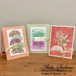 Stampin’ Up! Splendid Thoughts Cards – Stampin' in the Meadows