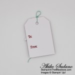 Stampin’ Up! November Paper Pumpkin Kit – From The North Pole ...