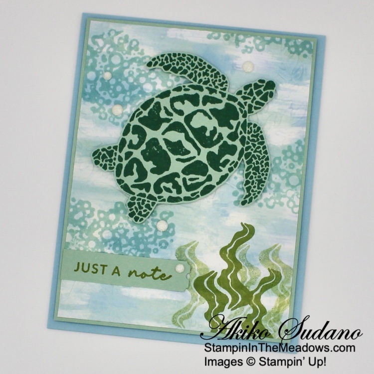 Sea Turtle – Stampin' in the Meadows