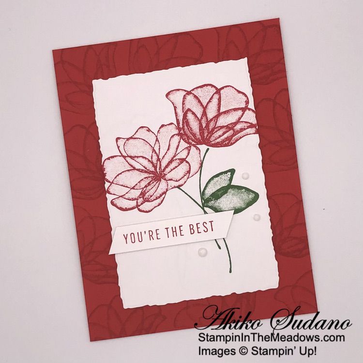 Stampin’ Up! Translucent Florals Sneak Peek – Stampin' in the Meadows