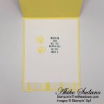 Stampin’ Up! Translucent Florals Sneak Peek with Video Tutorial ...