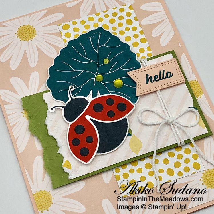 Stampin’ Up! Hello Ladybug Card – Stampin' in the Meadows