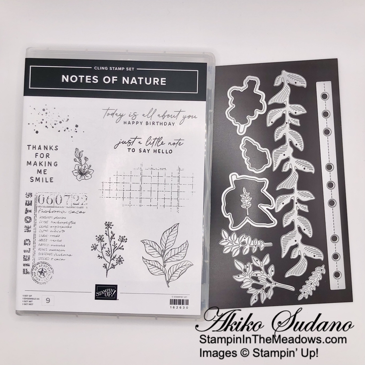 Stampin’ Up! Notes of Nature Hello Card – Stampin' in the Meadows