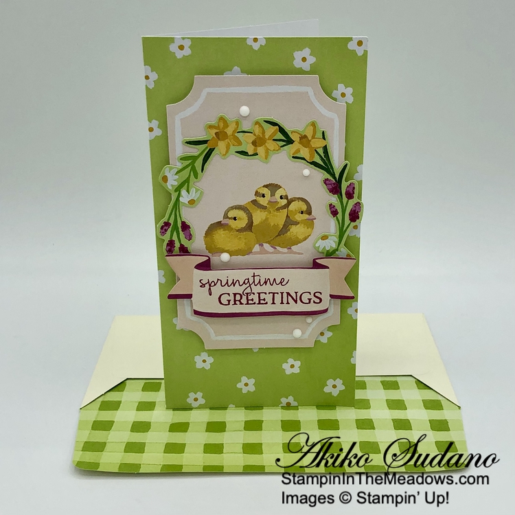 Stampin’ Up! February Paper Pumpkin Kit – Sweet Springtime – Stampin ...