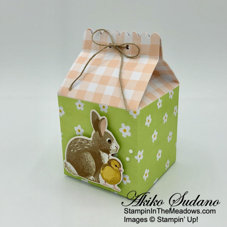 Stampin’ Up! February Paper Pumpkin Kit – Sweet Springtime – Stampin ...