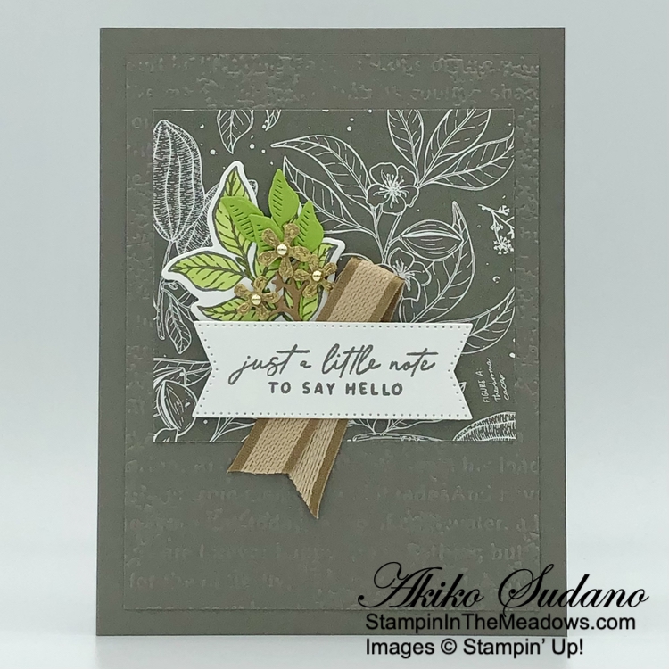 Stampin’ Up! Notes Of Nature for the Happy Inkin’ Thursday Blog Hop ...
