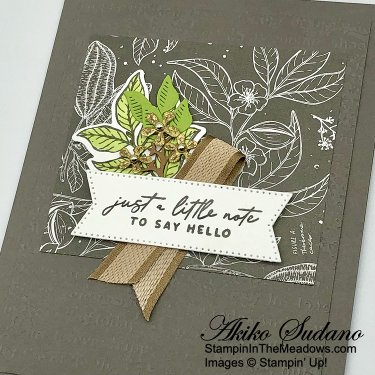 Stampin’ Up! Notes Of Nature for the Happy Inkin’ Thursday Blog Hop ...