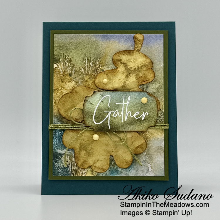 2025 Online Exclusives – Stampin' in the Meadows