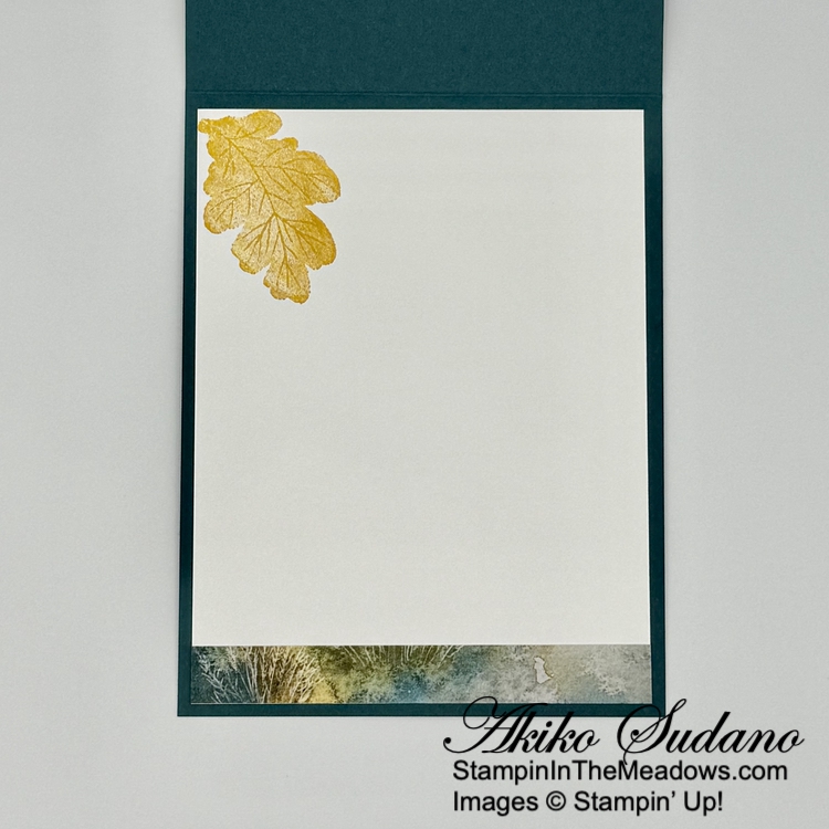 2025 Online Exclusives – Stampin' in the Meadows