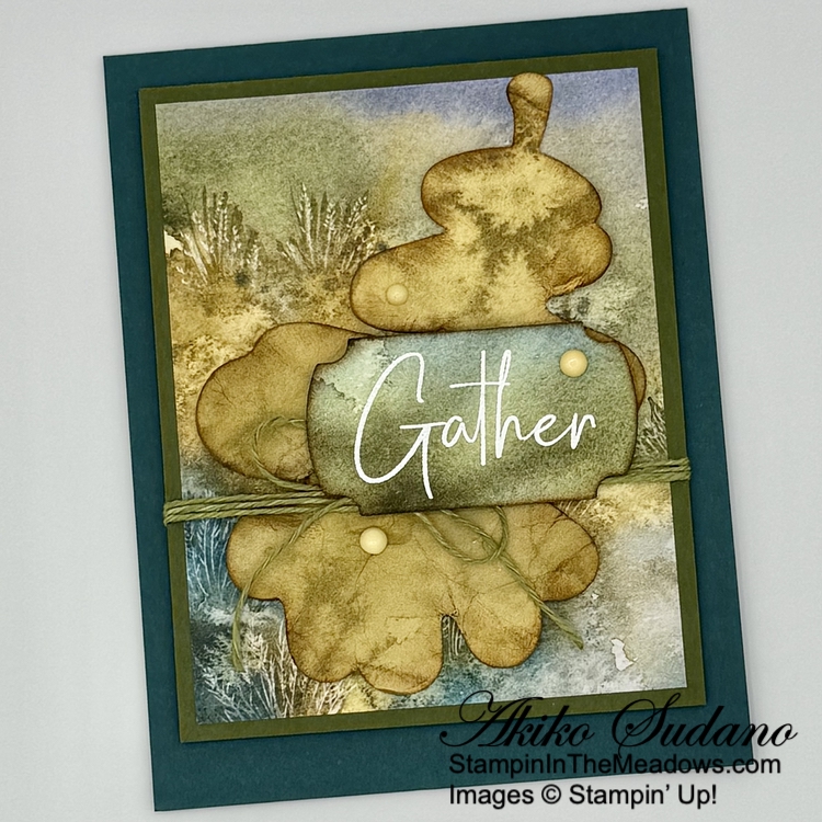 2025 Online Exclusives – Stampin' in the Meadows